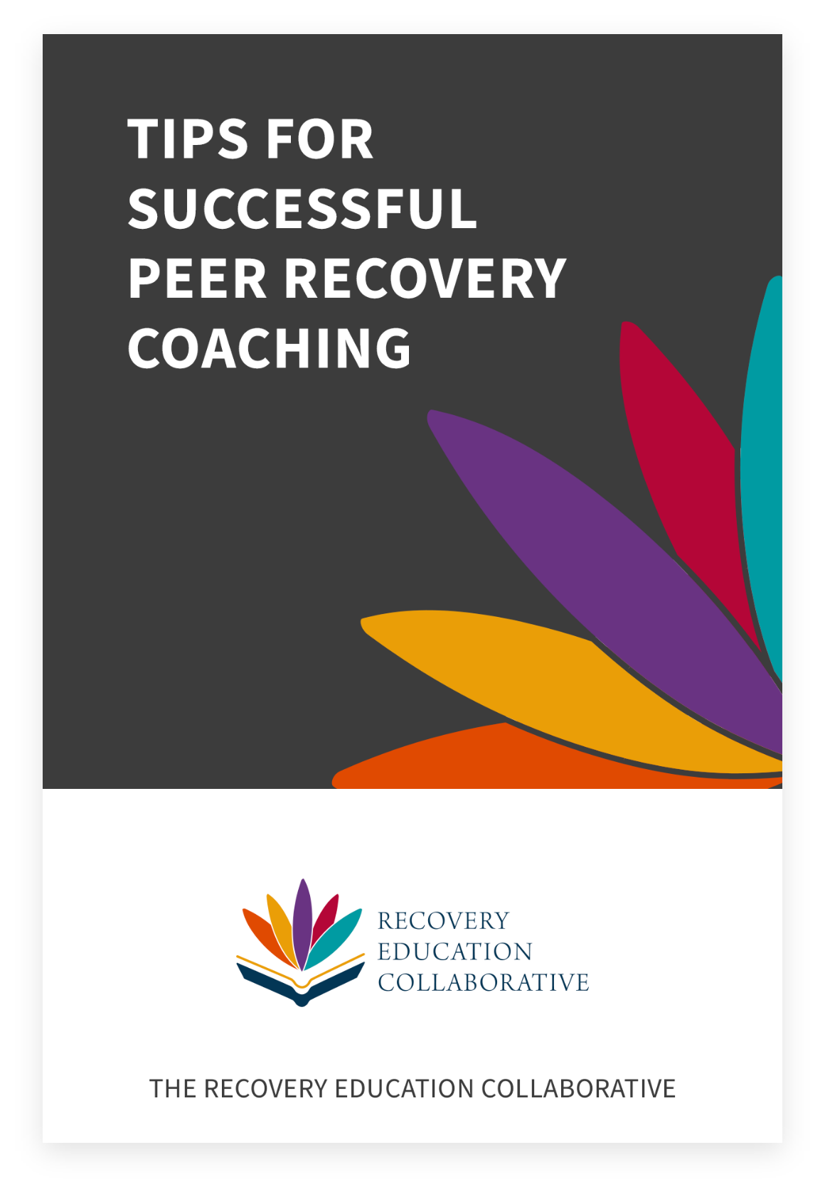 Recovery Education Collaborative – Education Learning Platform